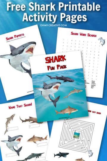 16 Shark Printables for Kids to Enjoy Fun & Free Activities- Rock Your ...