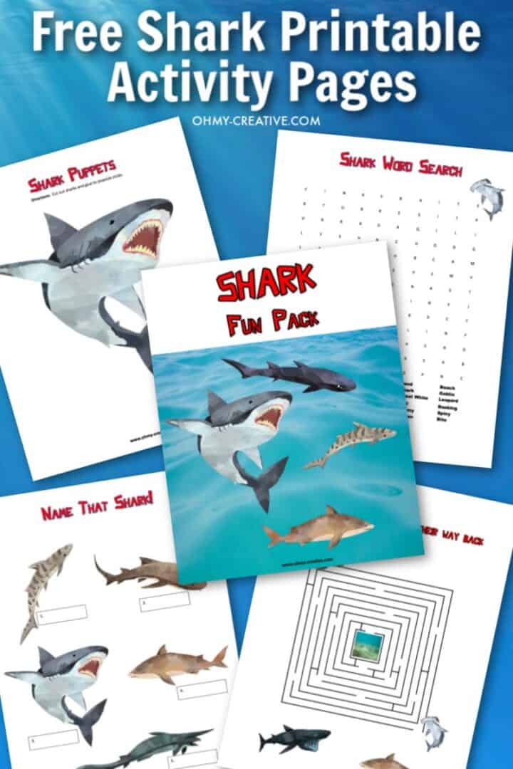 16 Shark Printables for Kids to Enjoy Fun & Free Activities- Rock Your ...