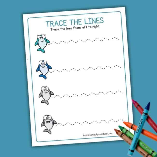 16 Shark Printables for Kids to Enjoy Fun & Free Activities- Rock Your ...