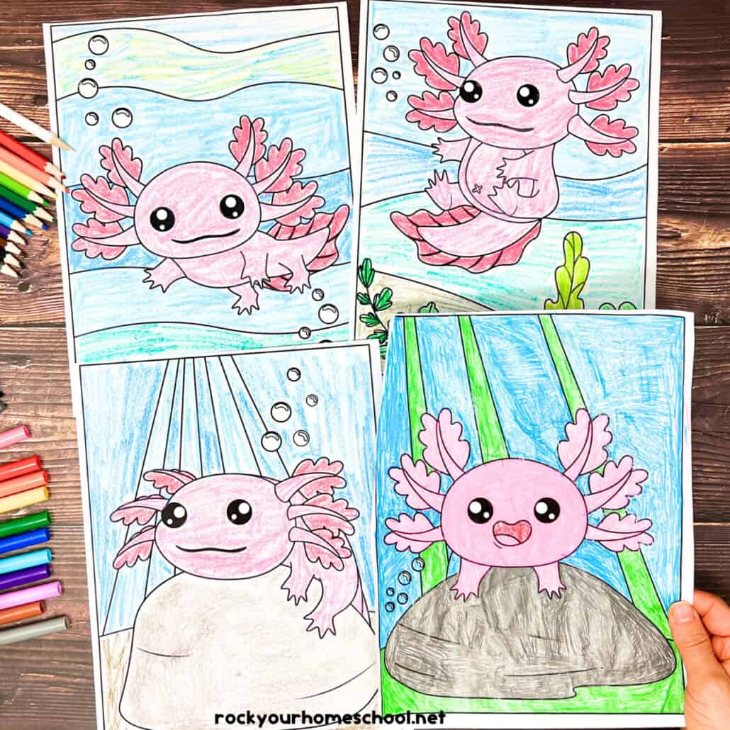 Axolotl Coloring Pages for Fun Printable Activities (Free) - Rock Your ...