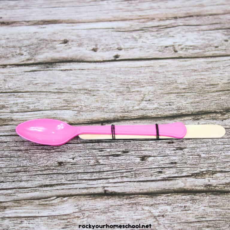 STEM Catapult For Kids: How To Easily Make (with Video) - Rock Your ...