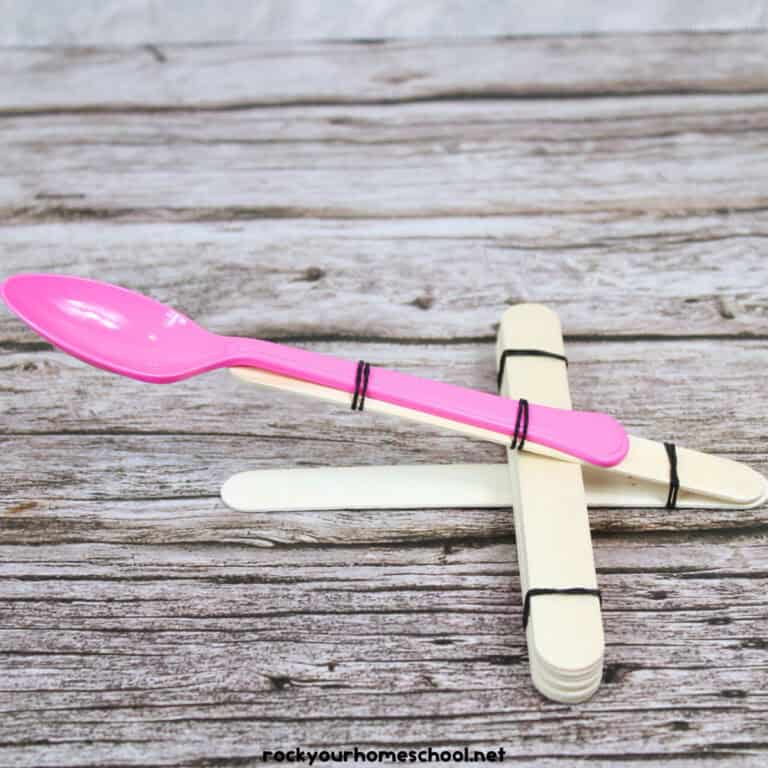STEM Catapult For Kids: How To Easily Make (with Video) - Rock Your ...