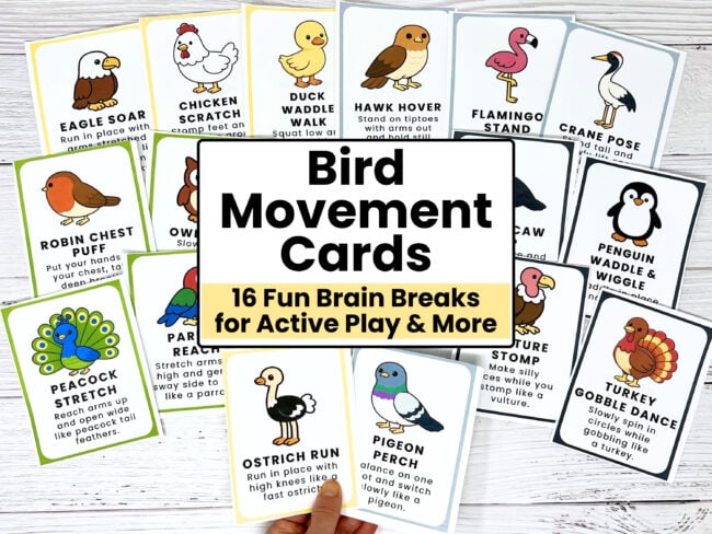 Birdwatching For Kids: 24 Brilliant Benefits and Life Skills (Free ...