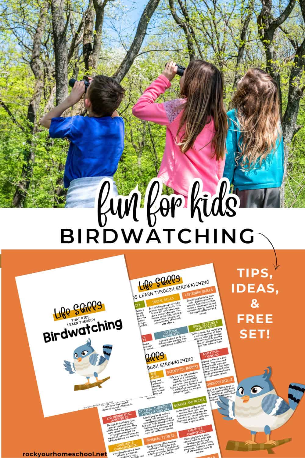 Birdwatching For Kids: 24 Brilliant Benefits and Life Skills (Free ...