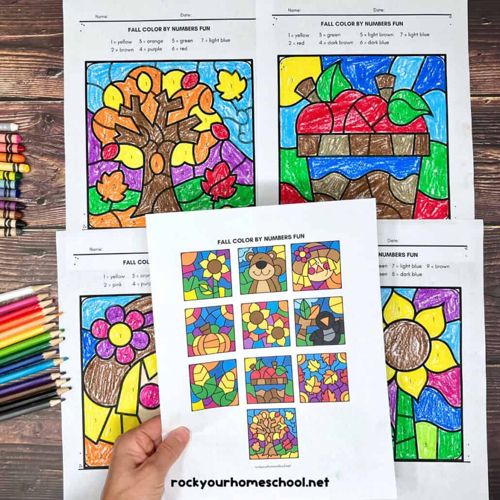 10 Free Fall Color by Number Worksheets for Easy Seasonal Fun - Rock ...