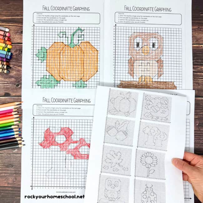 Coordinate Graphing Pictures: How To Use For Fall Fun (Free)- Rock Your ...