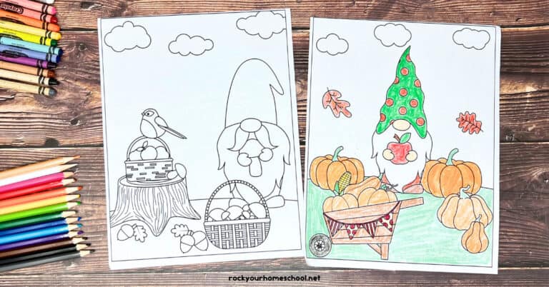 Fall Gnome Coloring Pages For Fantastic Autumn Fun (Free)- Rock Your ...