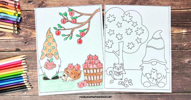 Fall Gnome Coloring Pages For Fantastic Autumn Fun (Free)- Rock Your ...