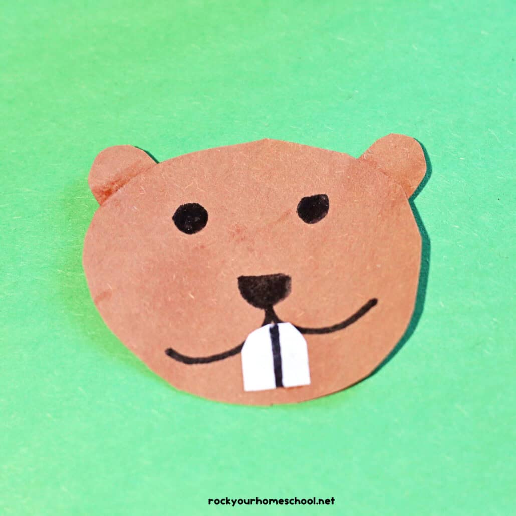 Groundhog Puppet: How To Make This Toilet Paper Roll Craft- Rock Your ...