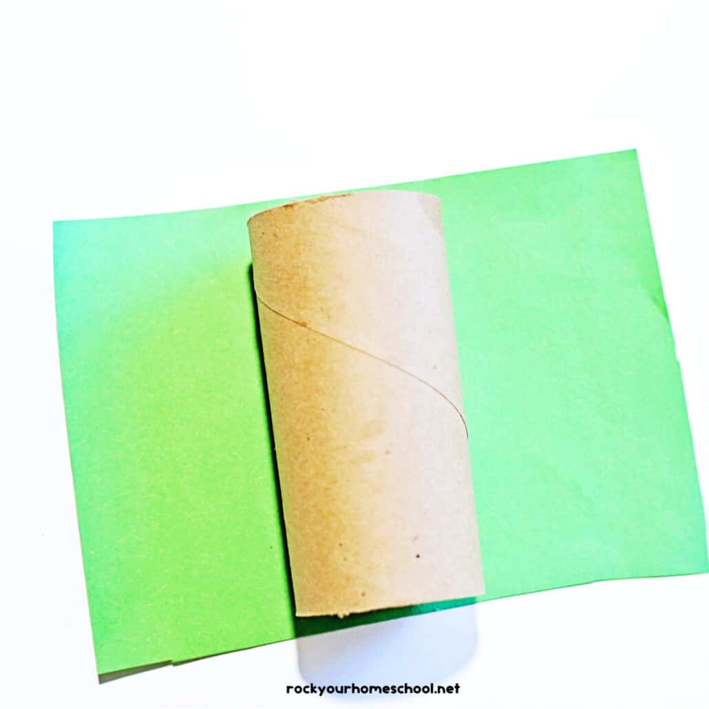 Groundhog Puppet: How To Make This Toilet Paper Roll Craft- Rock Your ...
