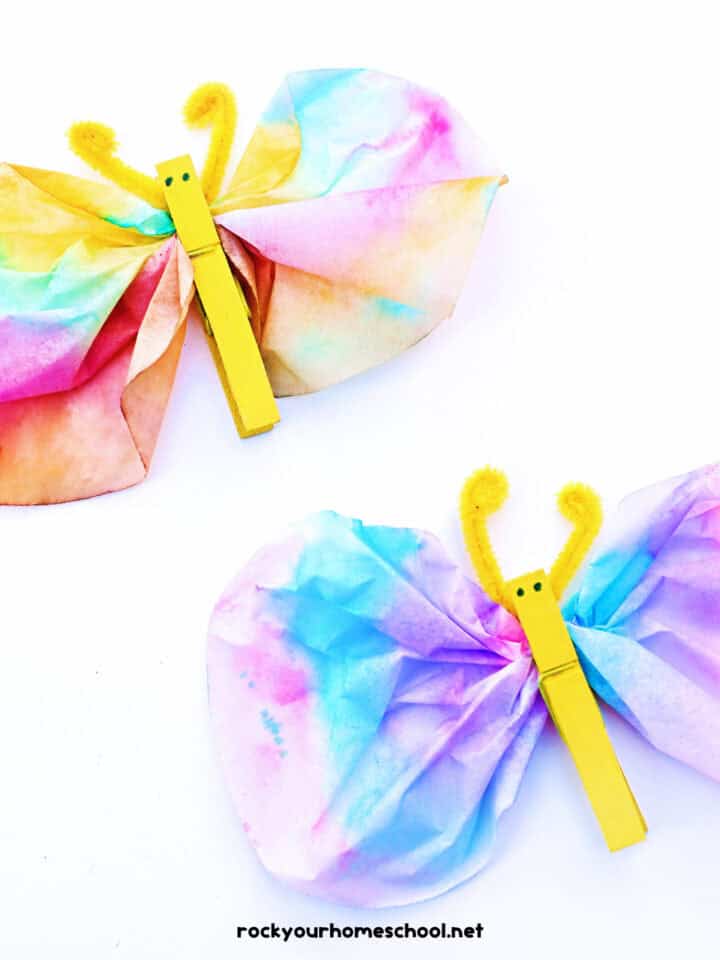 Life Cycle of a Butterfly Project (Free Printable 3D Diorama)