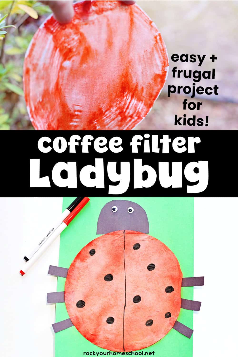 Coffee Filter Ladybug Craft for Kids: How to Make & Enjoy- Rock Your ...