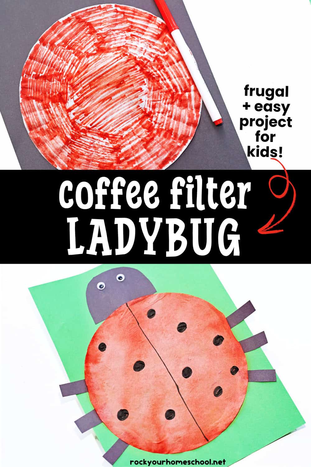 Coffee Filter Ladybug Craft for Kids: How to Make & Enjoy- Rock Your ...