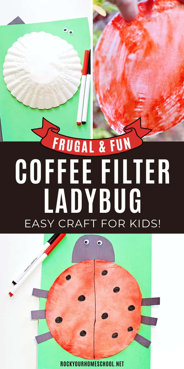 Coffee Filter Ladybug Craft for Kids: How to Make & Enjoy- Rock Your ...