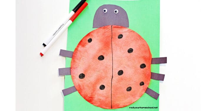 Coffee Filter Ladybug Craft for Kids: How to Make & Enjoy- Rock Your ...