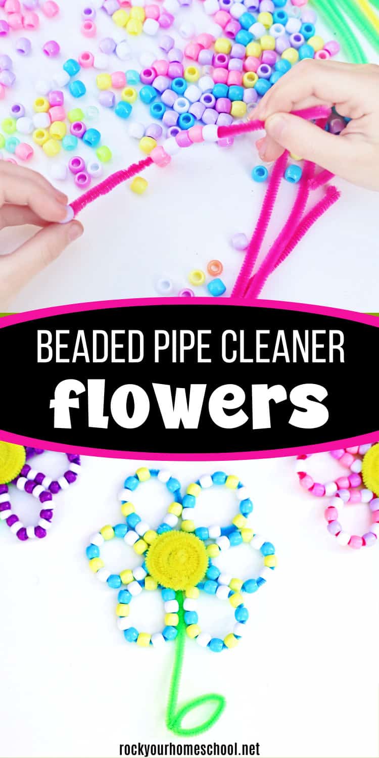 Beaded Pipe Cleaner Flowers: How to Make & Ideas for Enjoying - Rock ...