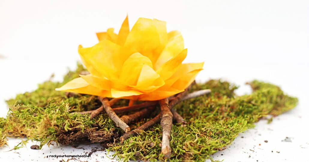 DIY Campfire Craft: How to Make with Coffee Filters- Rock Your Homeschool