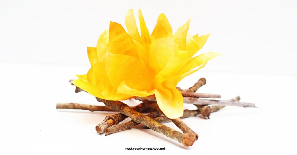 DIY Campfire Craft: How to Make with Coffee Filters- Rock Your Homeschool