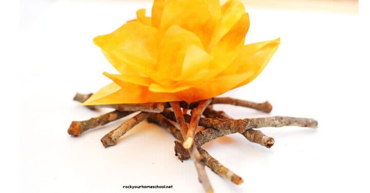 DIY Campfire Craft: How to Make with Coffee Filters- Rock Your Homeschool