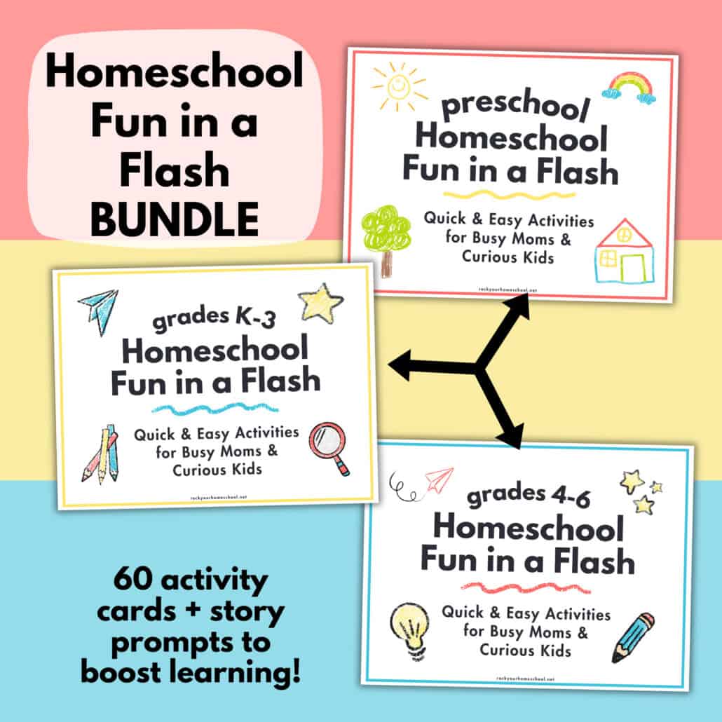 Homeschool Fun in a Flash BUNDLE - Rock Your Homeschool