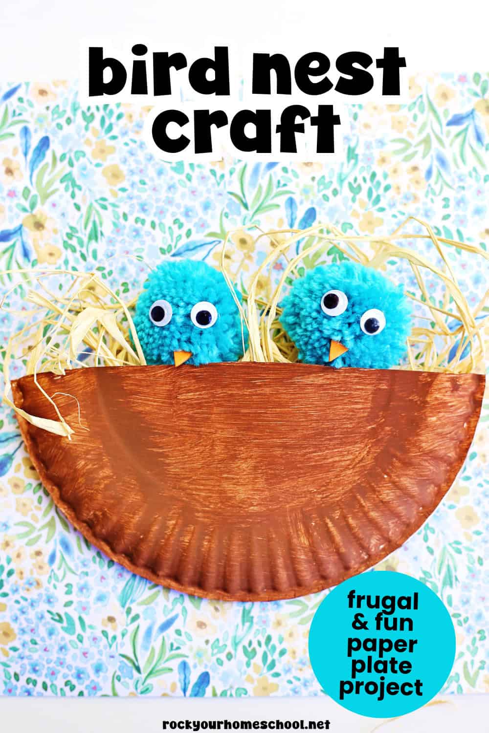 Bird Nest Craft: How to Make with a Paper Plate- Rock Your Homeschool