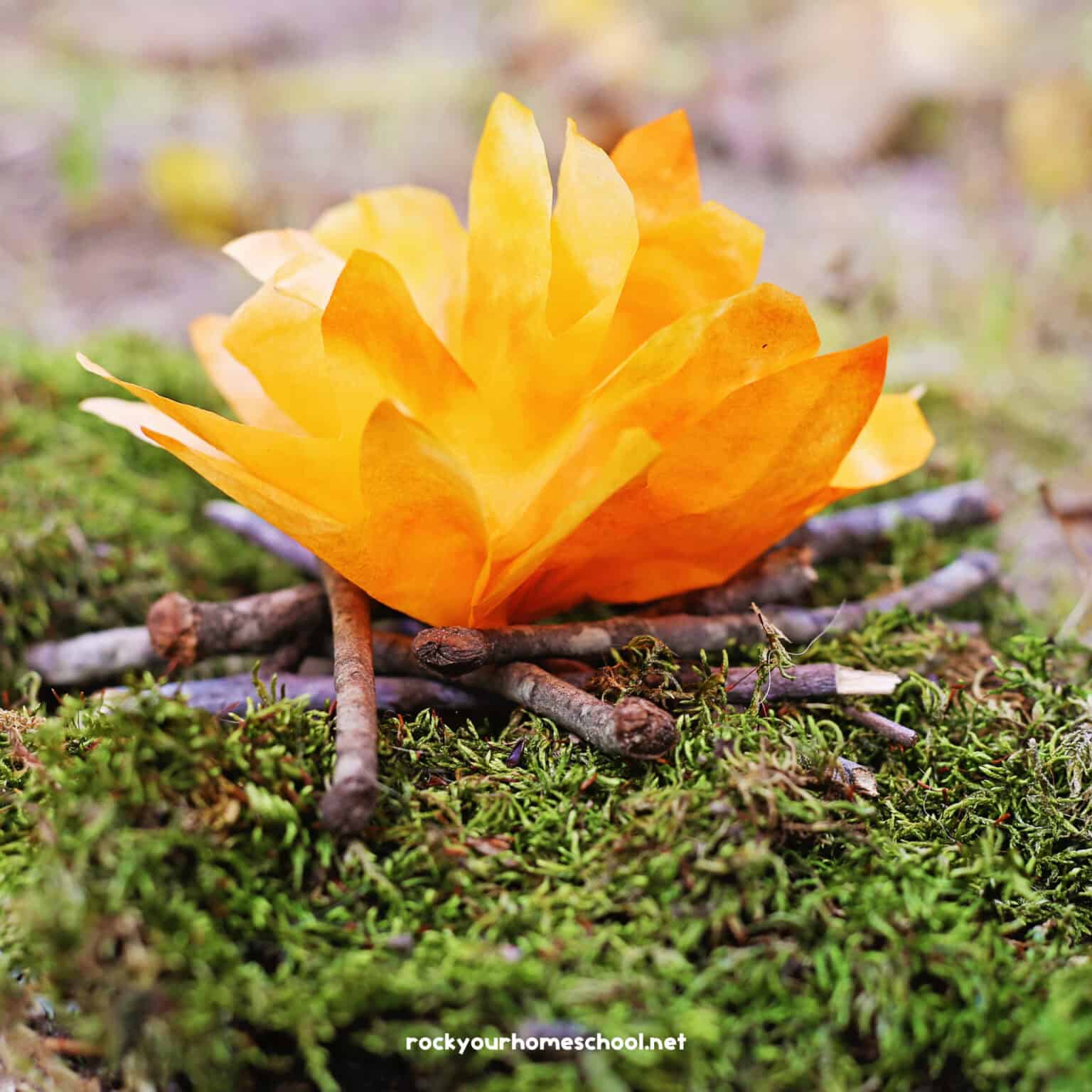 DIY Campfire Craft: How to Make with Coffee Filters- Rock Your Homeschool