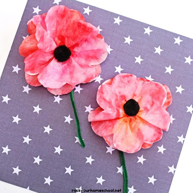 Coffee Filter Poppy Craft: How to Make & Ideas for Enjoying - Rock Your ...