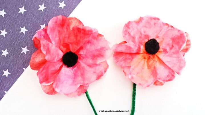 Coffee Filter Poppy Craft: How to Make & Ideas for Enjoying - Rock Your ...