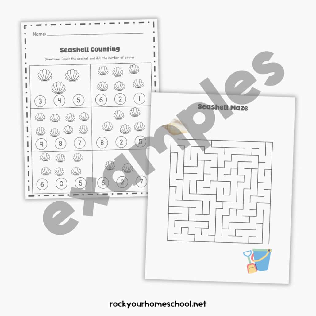 Seashell Activities Pack | Printable Learning Fun for Kids- Rock Your ...