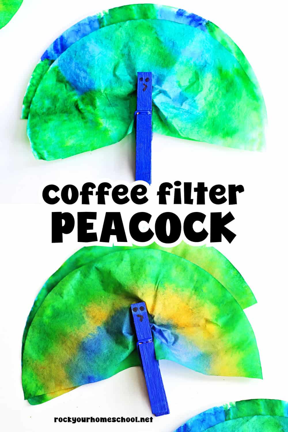 Coffee Filter Peacock: How to Make This Cute & Colorful Craft - Rock ...