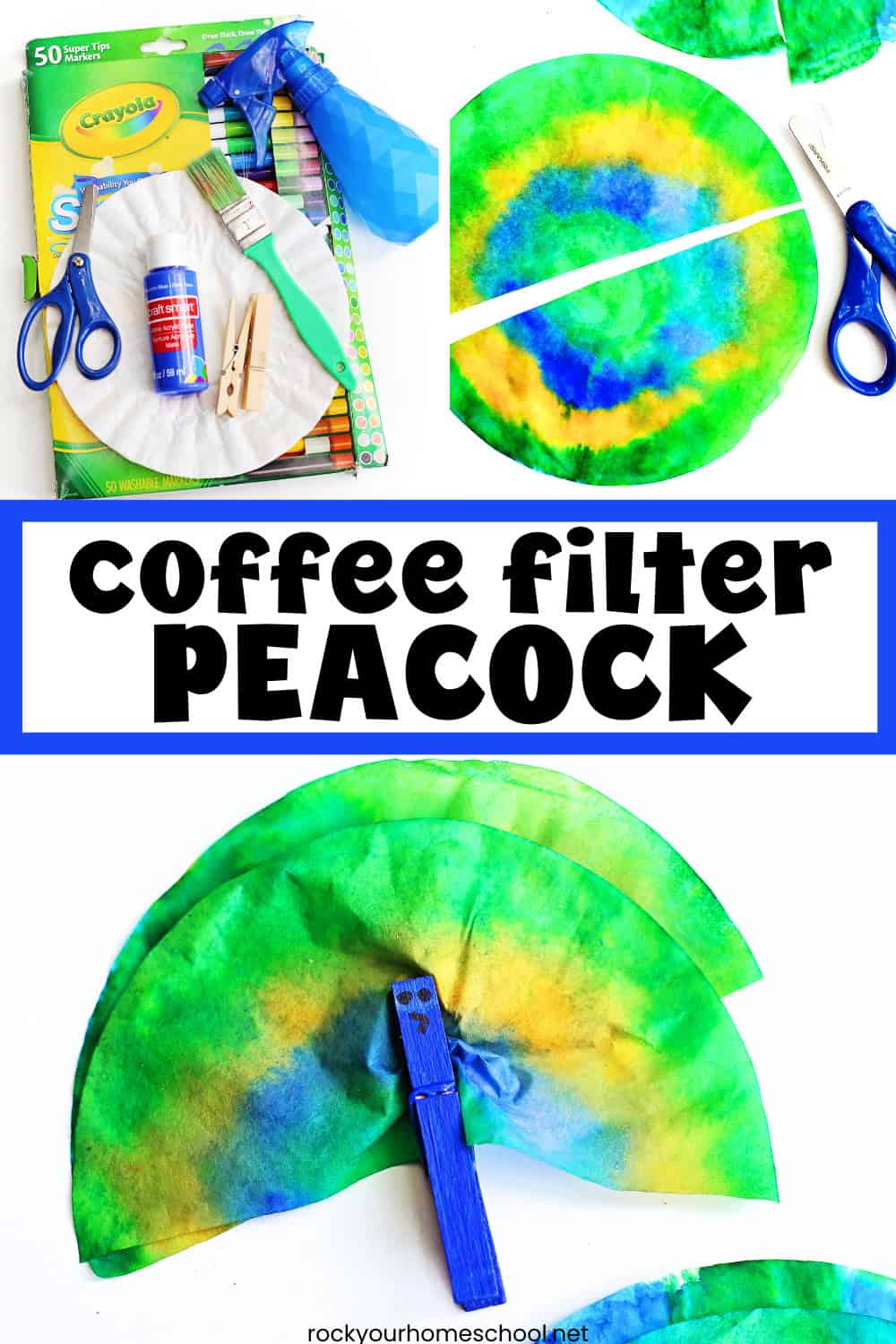 Coffee Filter Peacock: How to Make This Cute & Colorful Craft - Rock ...