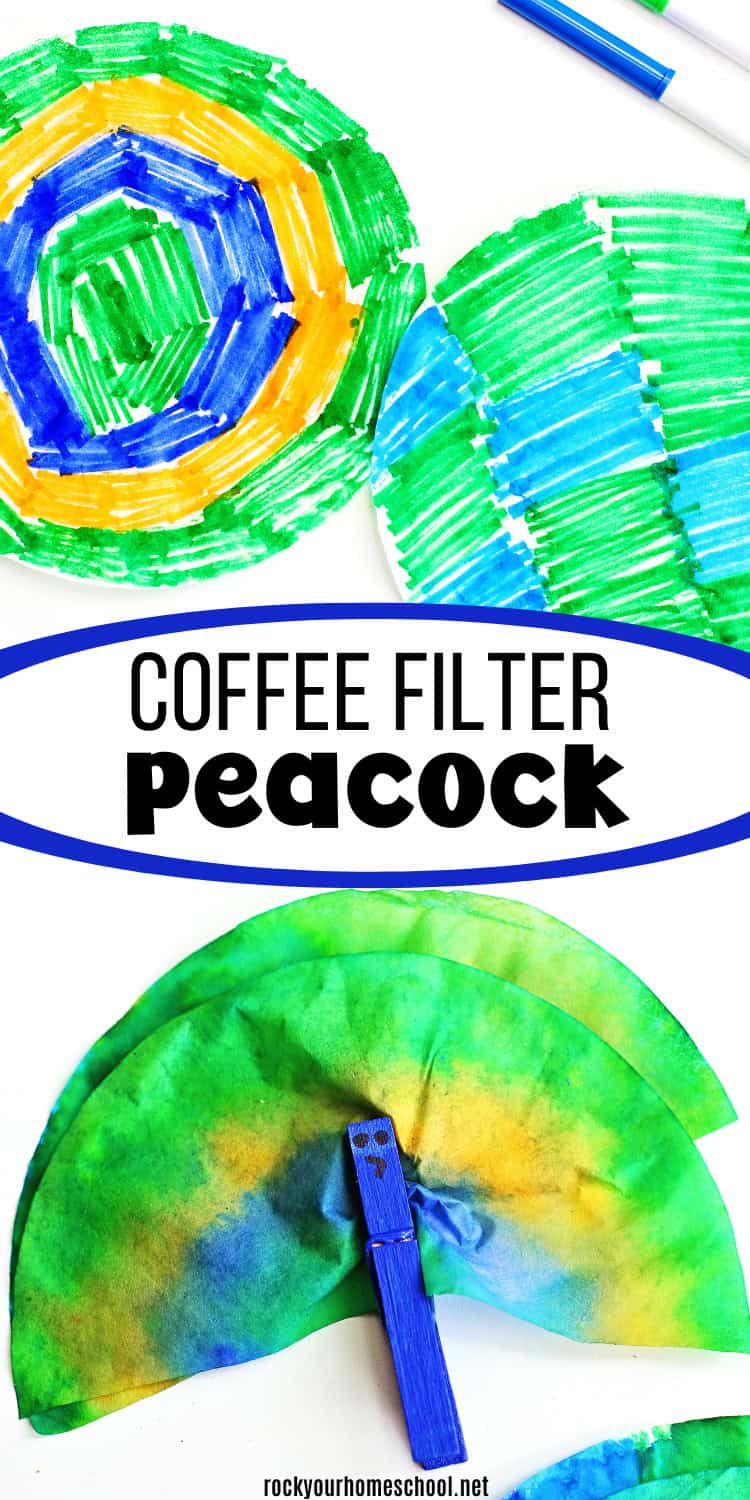 Coffee Filter Peacock: How to Make This Cute & Colorful Craft - Rock ...