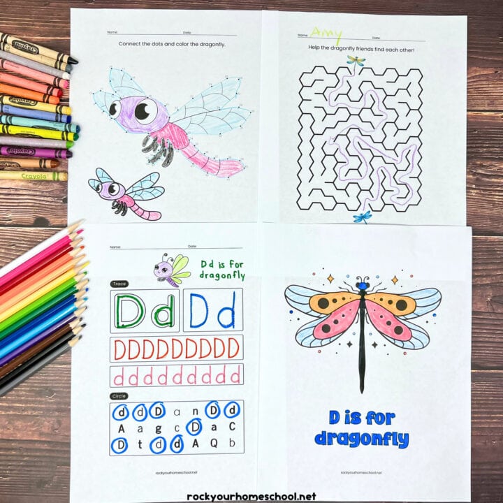 Dragonfly Printables for Kids to Learn and Enjoy (12 Free) - Rock Your ...