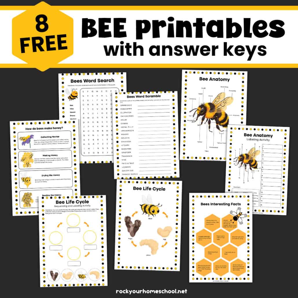 Free Bee Printables: 8 Activities For Fun (with Answer Key)- Rock Your ...