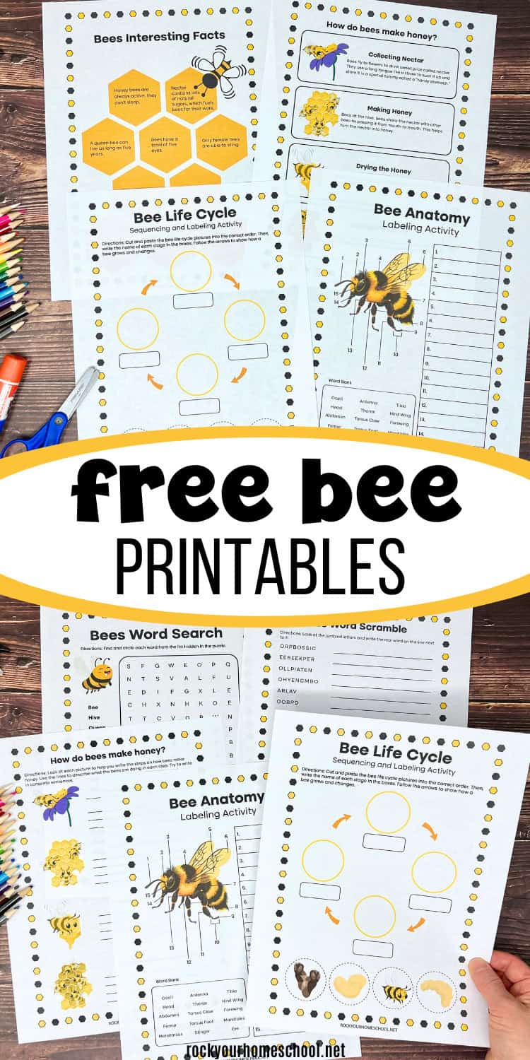 Free Bee Printables: 8 Activities For Fun (with Answer Key)- Rock Your ...