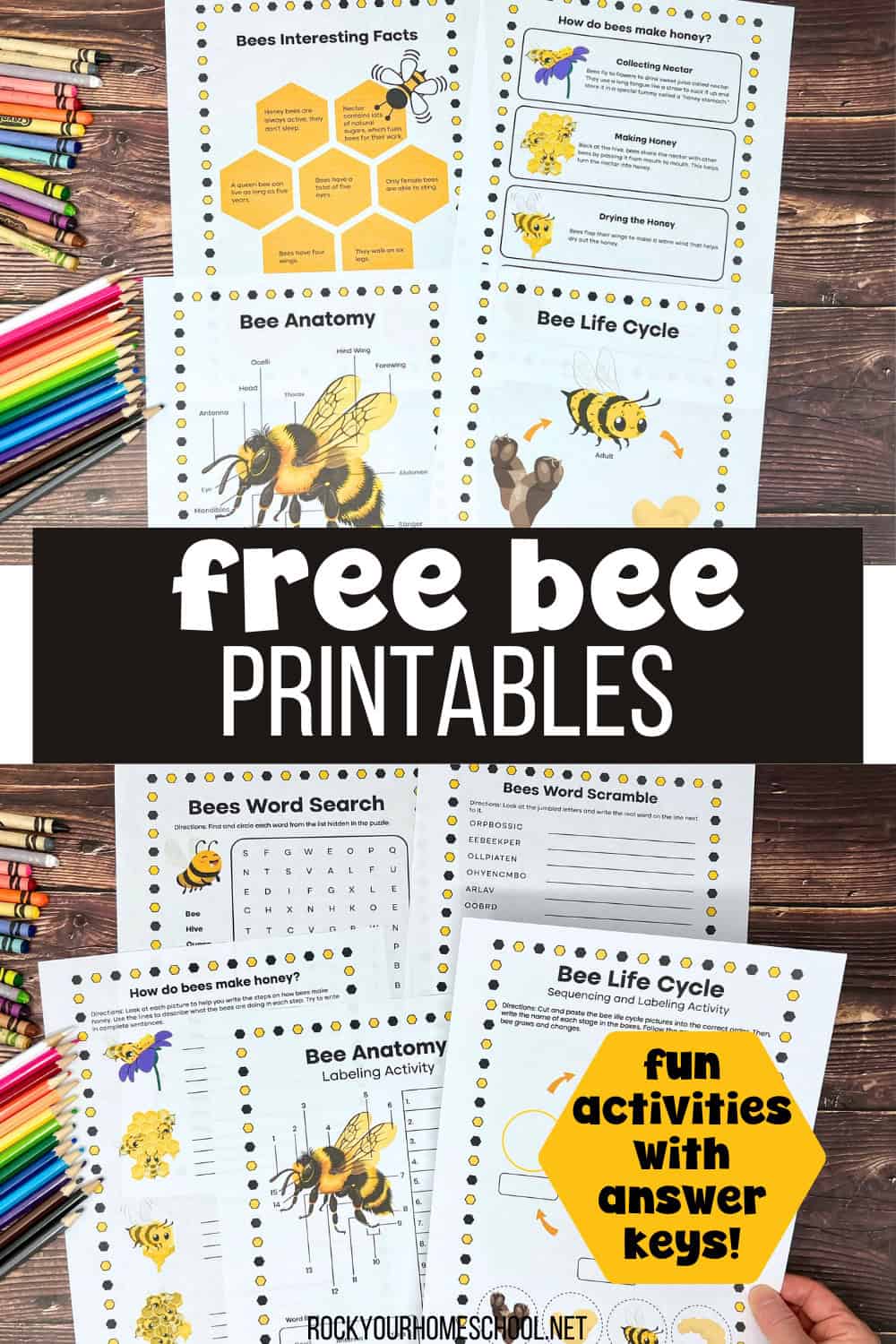 Free Bee Printables: 8 Activities For Fun (with Answer Key)- Rock Your ...