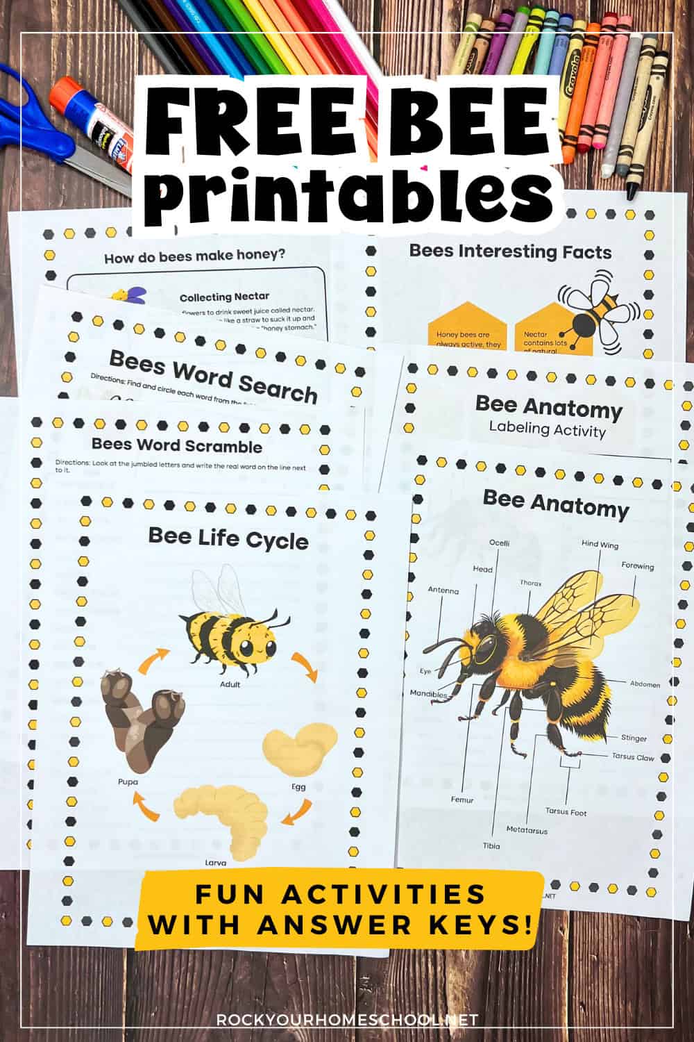 Free Bee Printables: 8 Activities For Fun (with Answer Key)- Rock Your ...