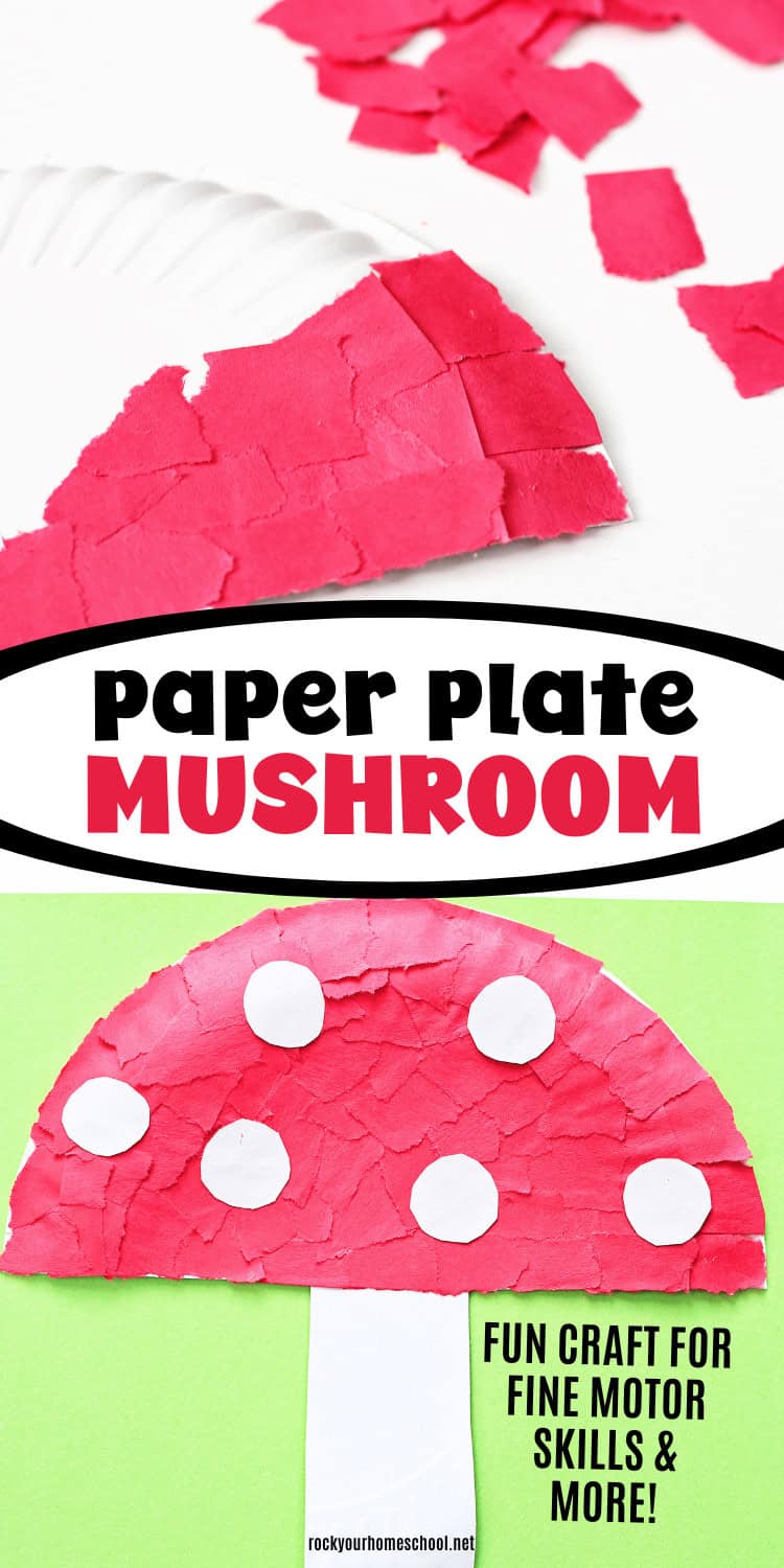 Mushroom Craft: How to Easily Make with Paper Plate- Rock Your Homeschool