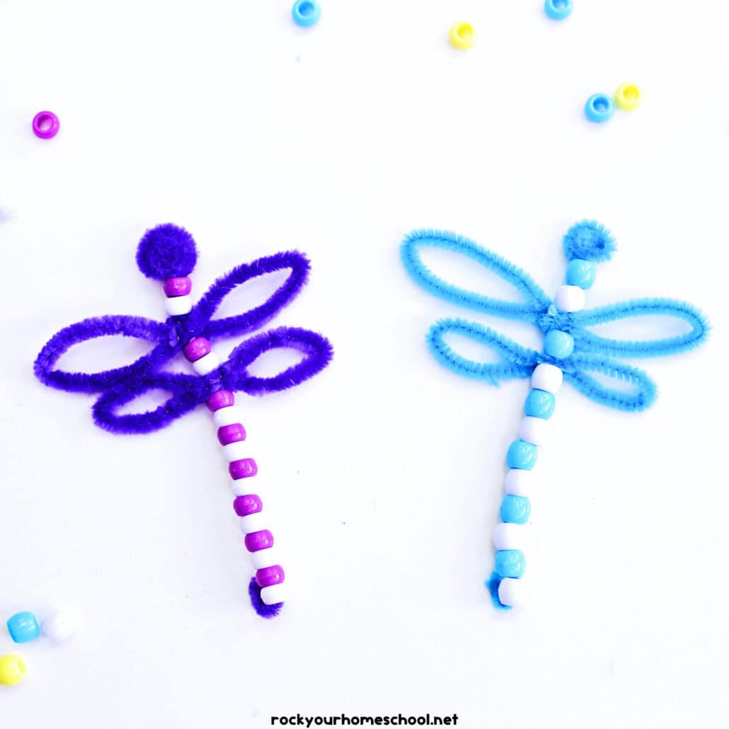 Pipe Cleaner Dragonfly: How to Make & Enjoy with Kids - Rock Your ...