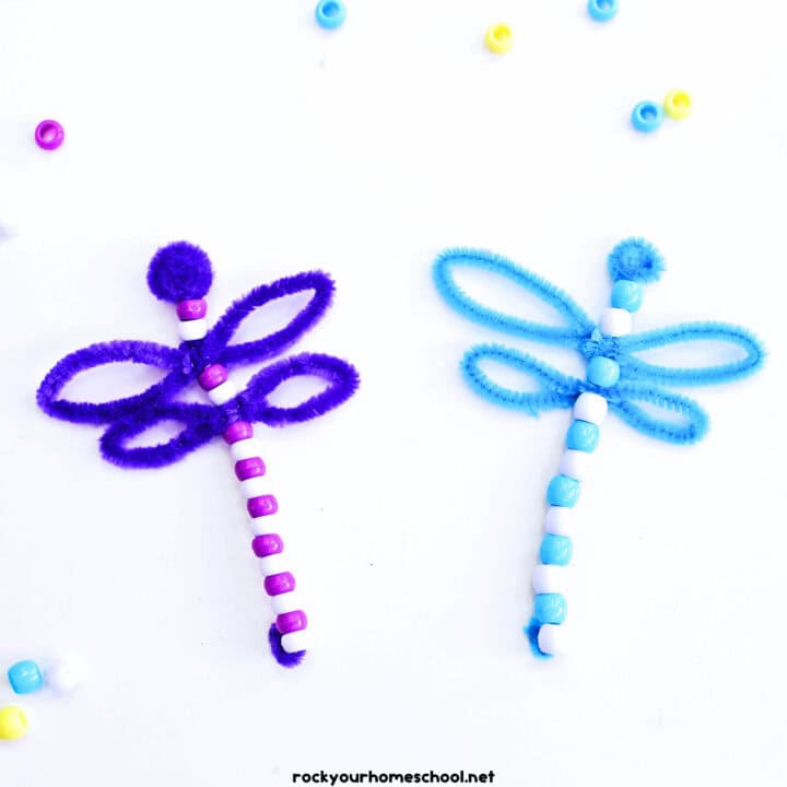 Pipe Cleaner Dragonfly: How to Make & Enjoy with Kids - Rock Your ...