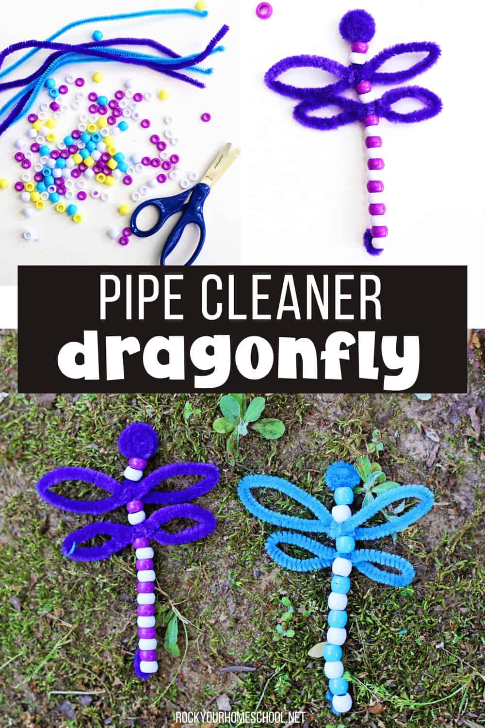 Pipe Cleaner Dragonfly: How to Make & Enjoy with Kids - Rock Your ...