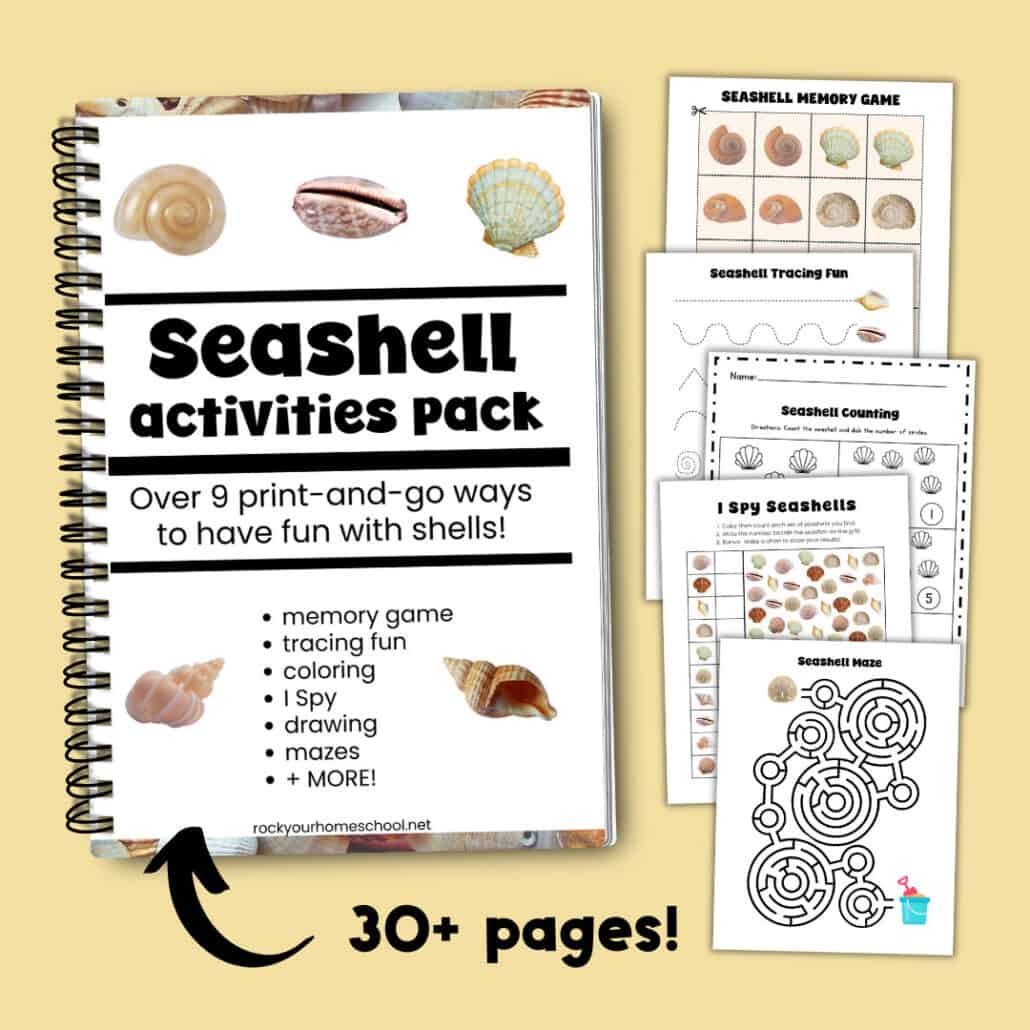 Seashell Activities Pack - Rock Your Homeschool