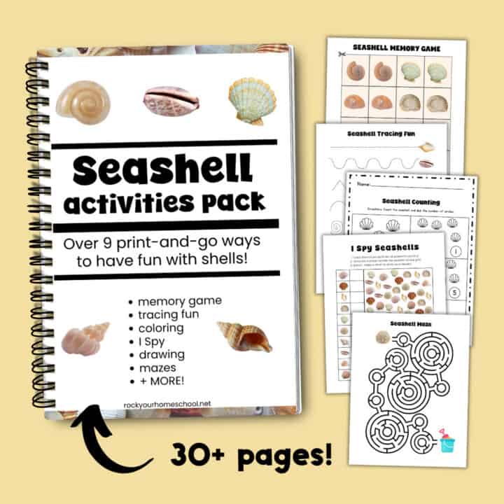 Seashell Activities Pack | Printable Learning Fun for Kids- Rock Your ...