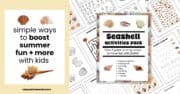 Seashell Scavenger Hunt for Sensational Fun with Kids (Free)- Rock Your ...