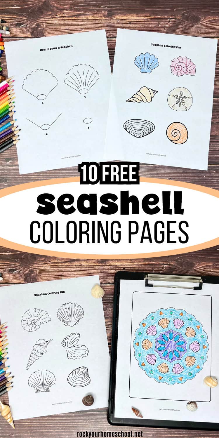 Seashell Coloring Pages with Creative Tips and Ideas (10 Free)- Rock ...
