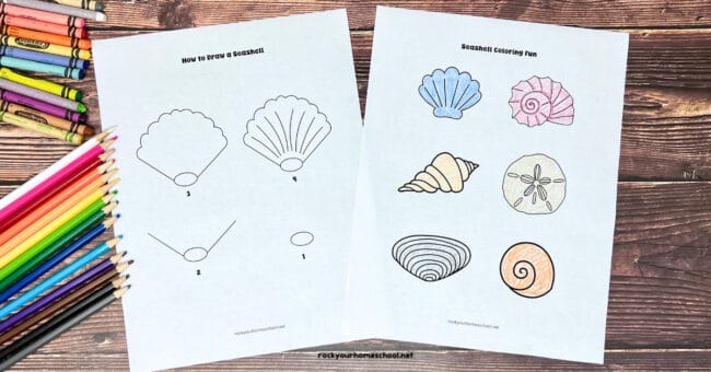 Seashell Coloring Pages with Creative Tips and Ideas (10 Free)- Rock ...