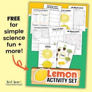 Lemon Printables For Kids To Enjoy Science & More (9 Free)- Rock Your ...