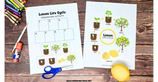 Lemon Printables For Kids To Enjoy Science & More (9 Free)- Rock Your ...