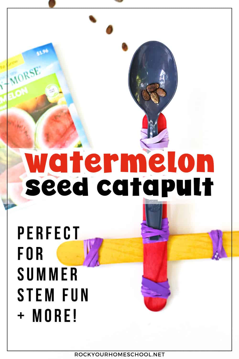 Watermelon Activity for Kids: How to Make a Seed Catapult- Rock Your ...