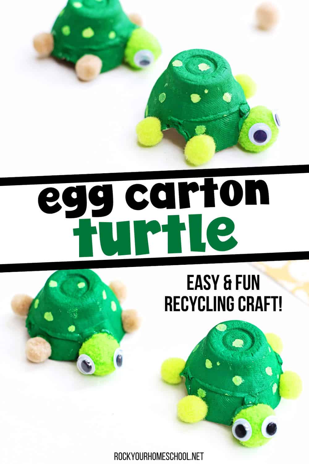 Egg Carton Turtle Craft: How to Make This Cute Project- Rock Your ...